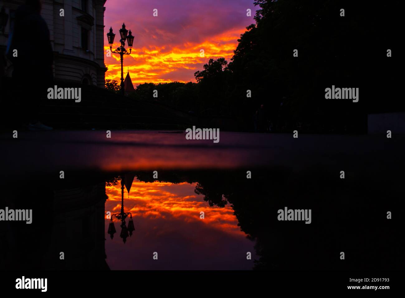 Colorful sunset in the city park close up Stock Photo - Alamy