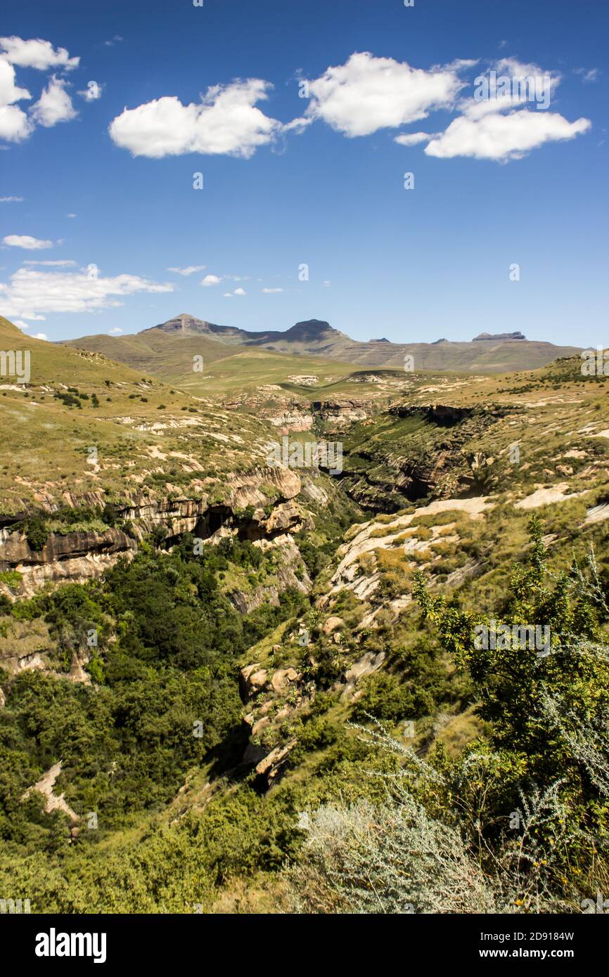 A forested ravine hi-res stock photography and images - Alamy