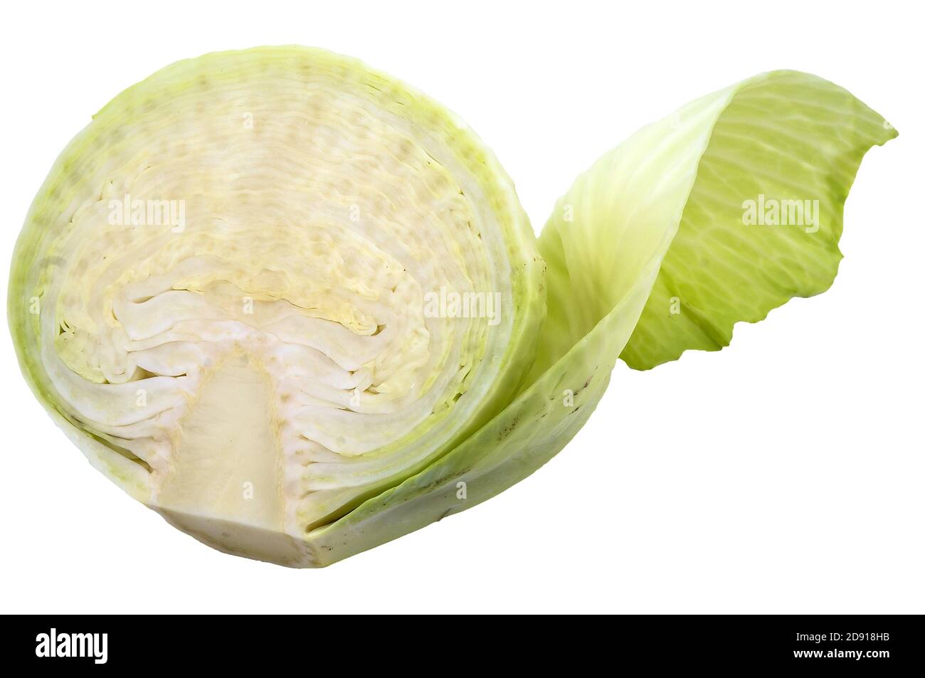 white cabbage, cabbage leaves vegetables, cabbage head Stock Photo - Alamy