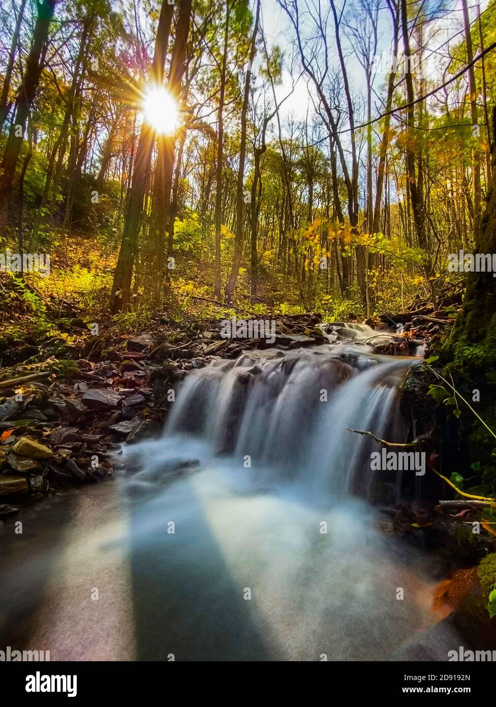 autumn in Georgia Stock Photo - Alamy