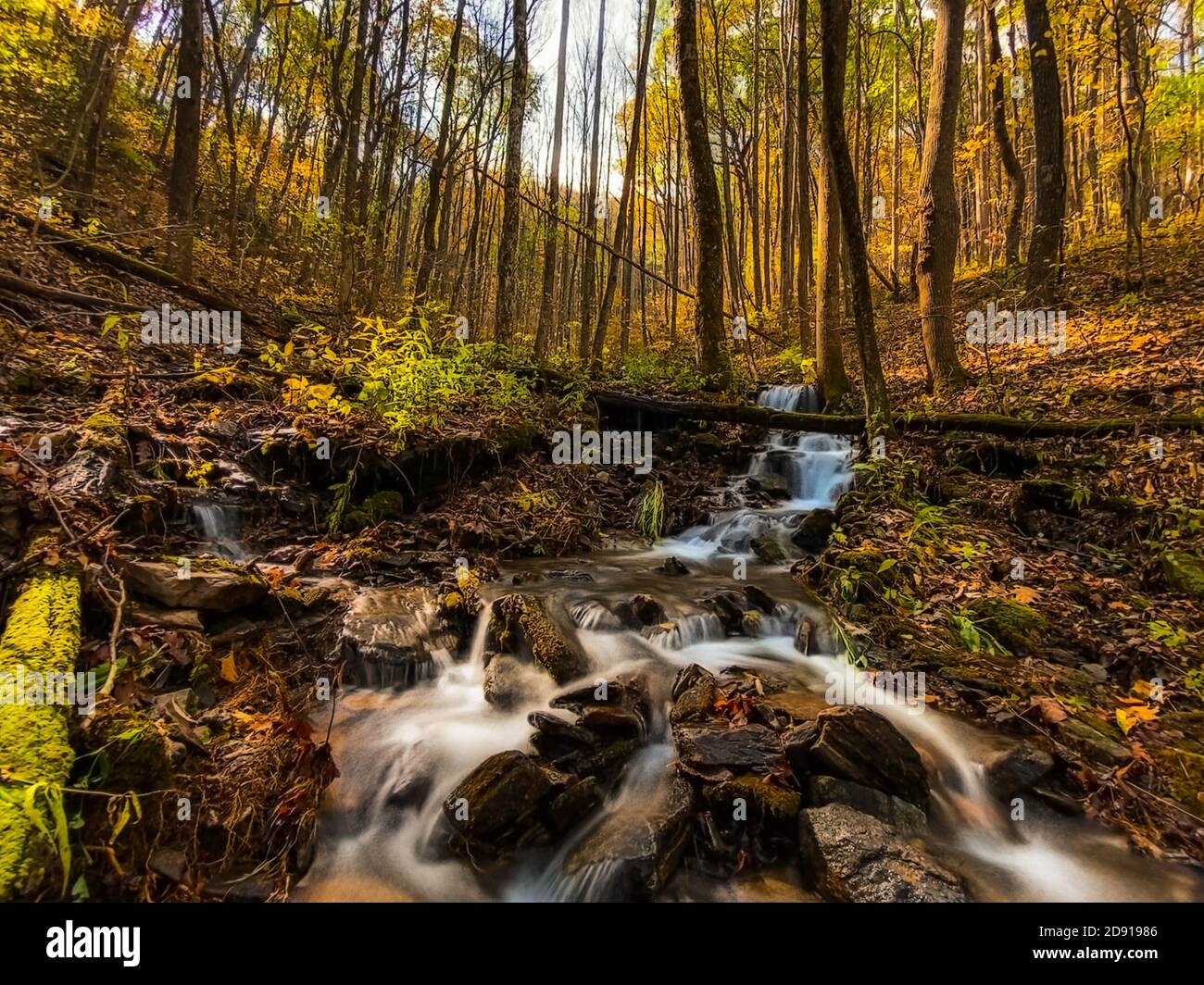 Vogel state park georgia hi-res stock photography and images - Alamy