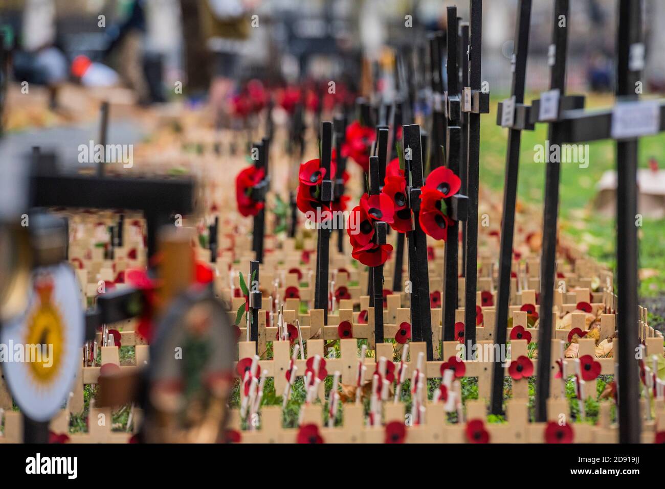 Royal british legion poppy factory hi-res stock photography and images ...