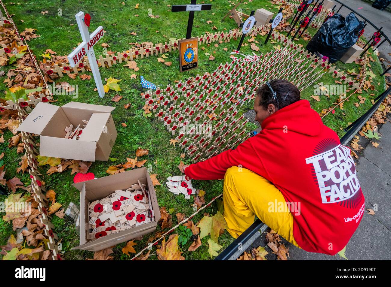 London, UK. 02nd Nov, 2020. Volunteers prepare the Field of Remembrance ...