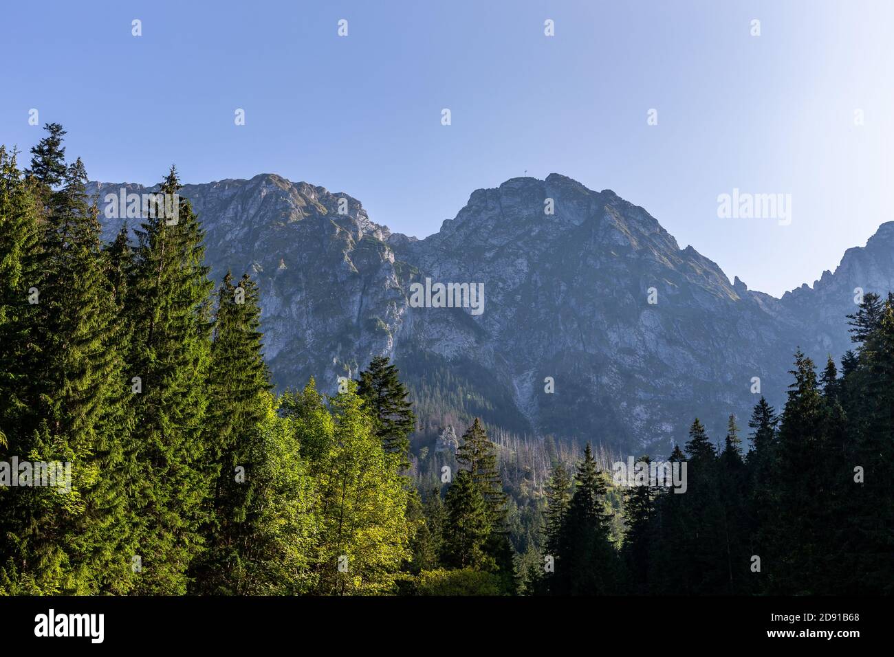 Giewont Mountain (Sleeping Knight) in Tatra Mountains in Poland, view ...
