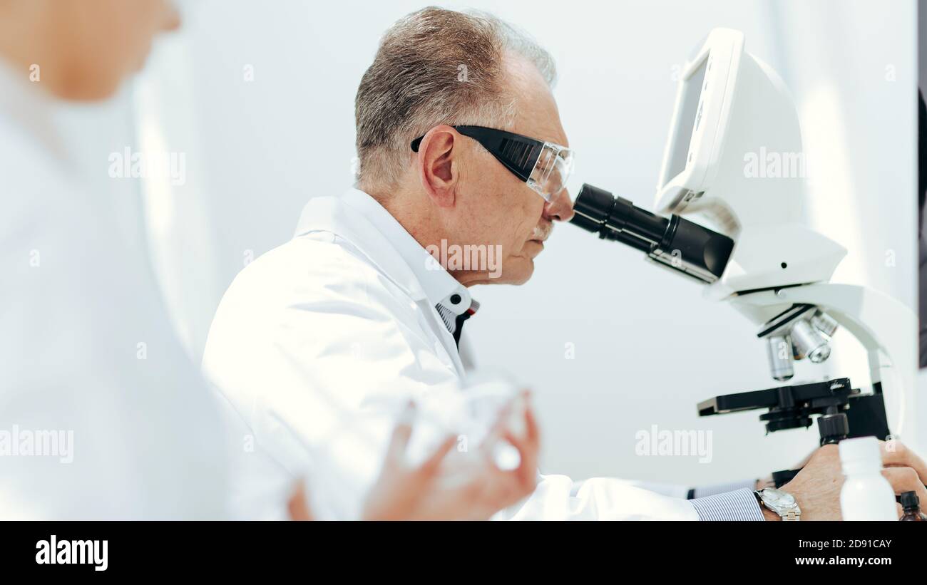 scientists using a microscope to study bacteria in a Petri dish Stock ...