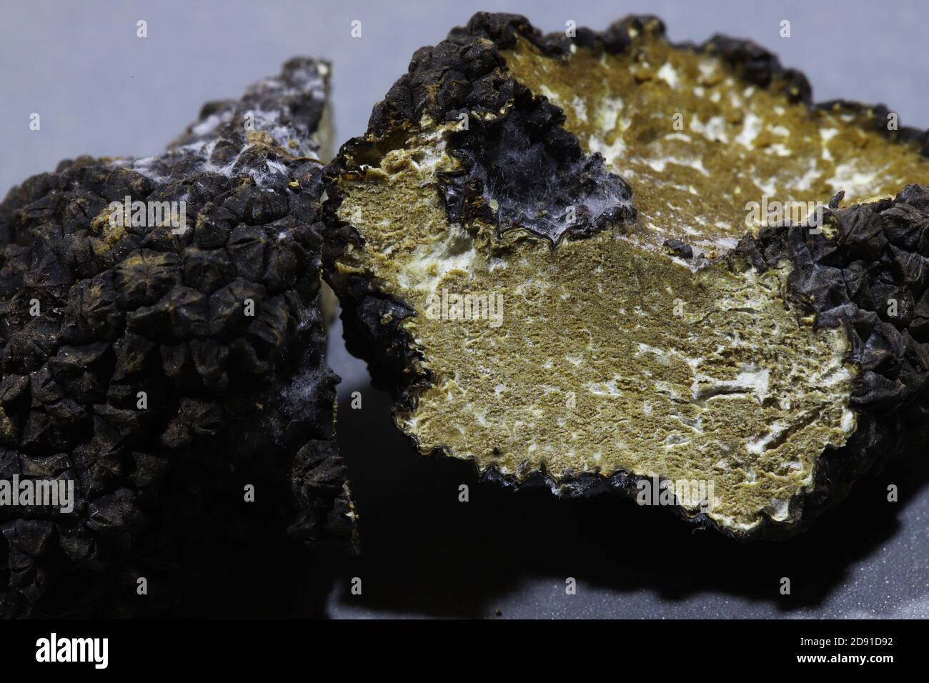 Tuber aestivum, the summer truffle Stock Photo - Alamy