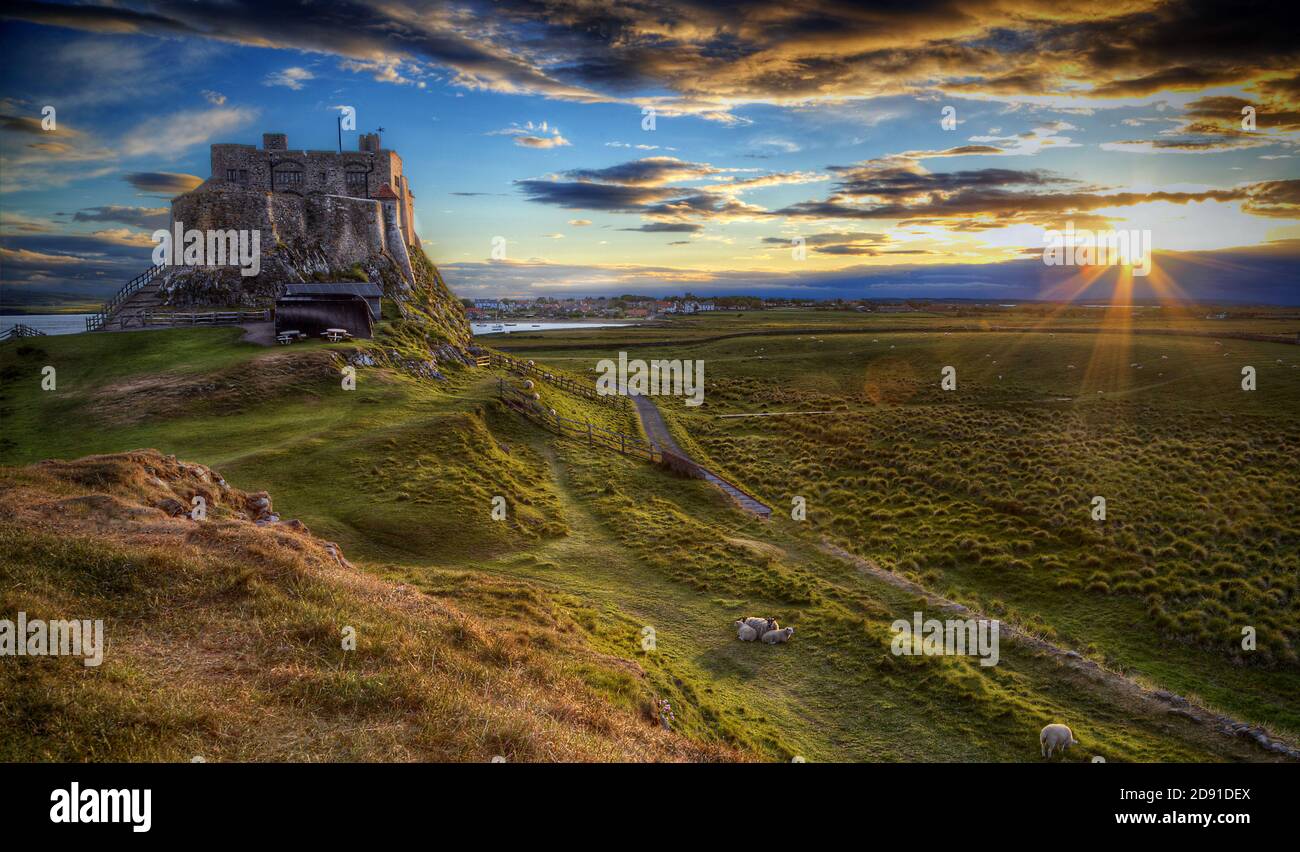 Lindisfarne Castle at Holy Island England Stock Photo - Alamy