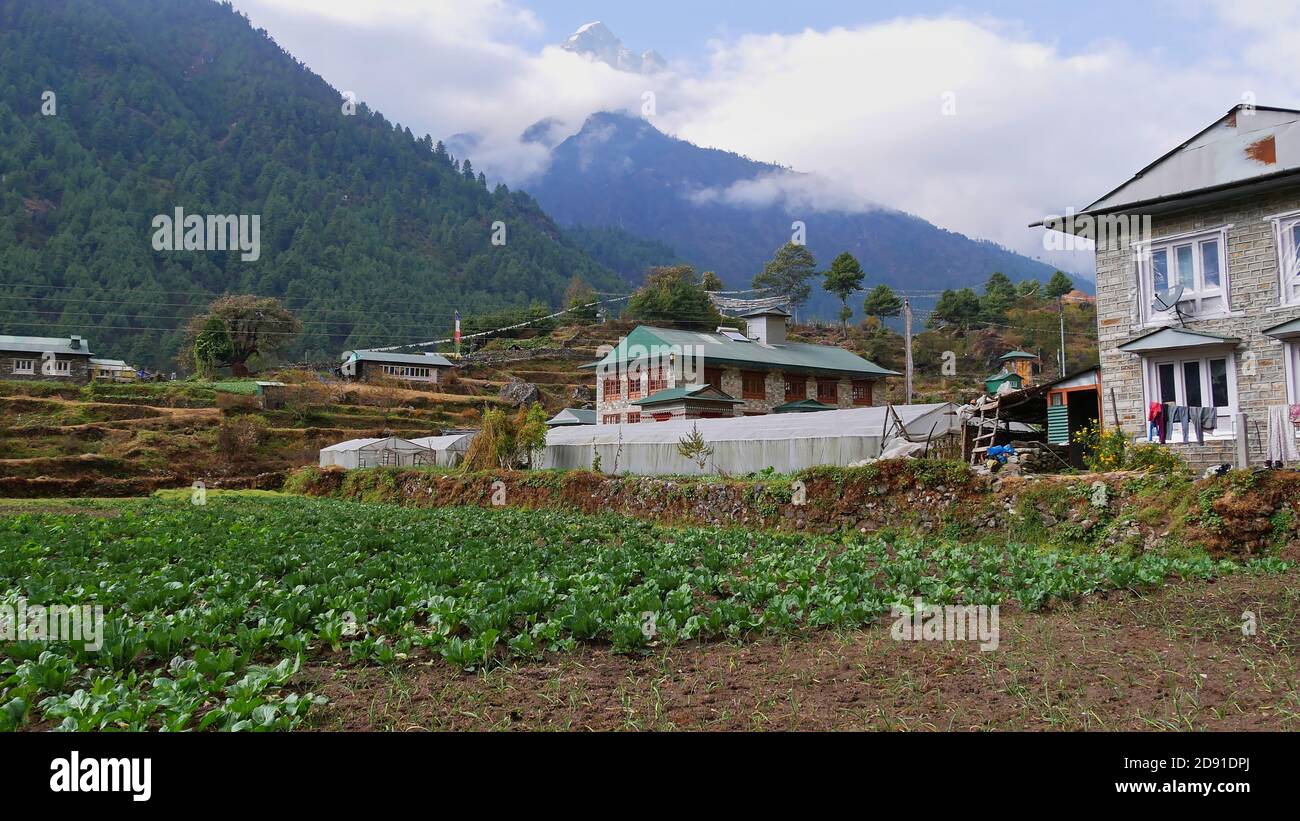 Sherpa stone houses in a village in Dudhkoshi valley, Nepal on the ...
