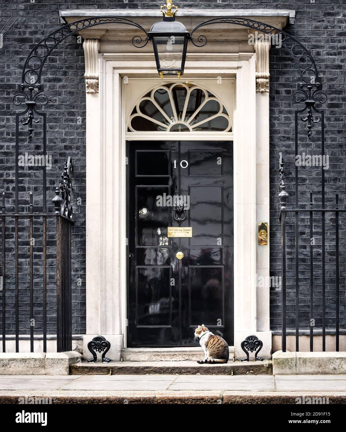 LONDON, UK - Apr 19, 2017: The cat named Larry is the 10 Downing Street ...