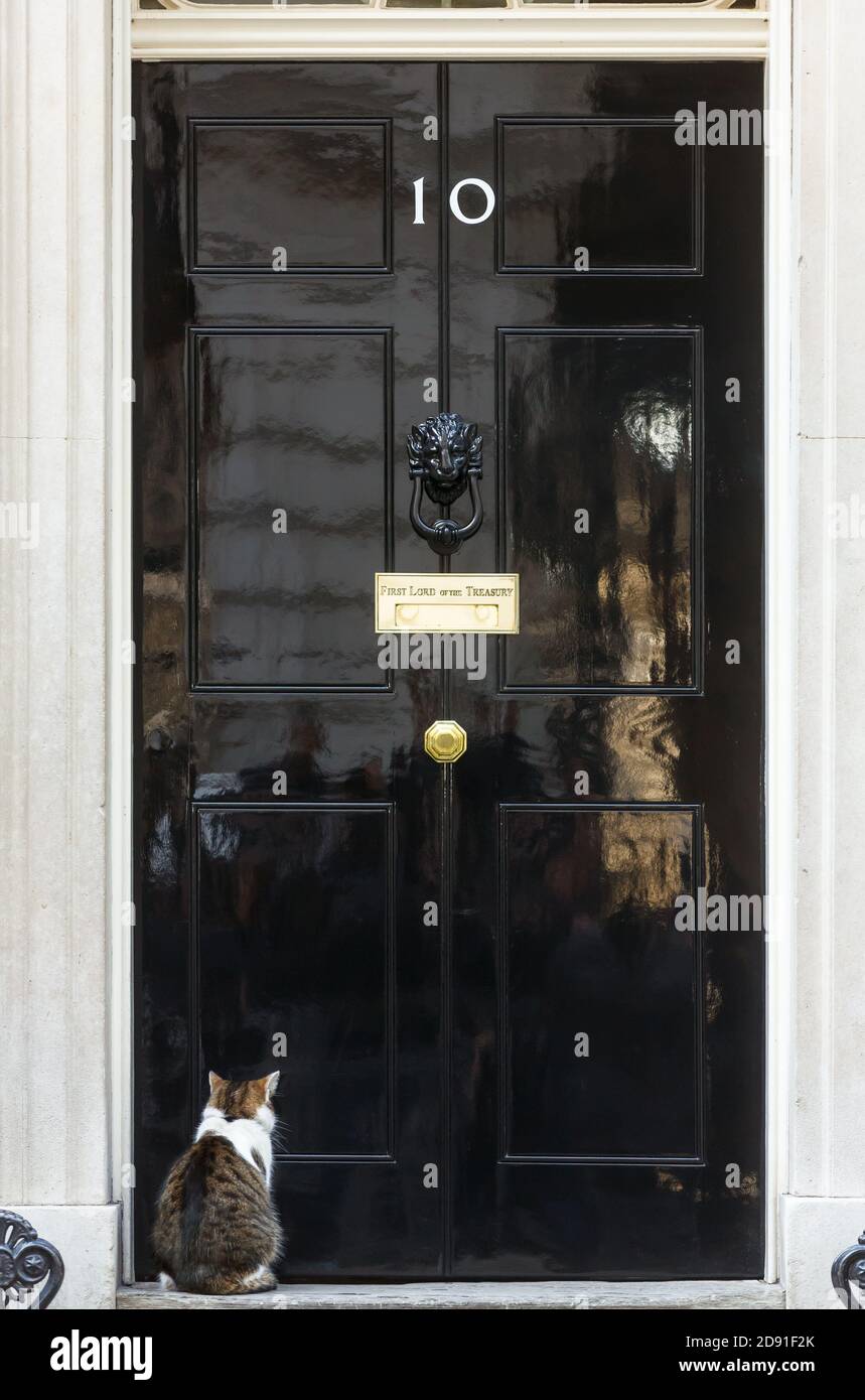 LONDON, UK - Apr 19, 2017: The cat named Larry is the 10 Downing Street ...