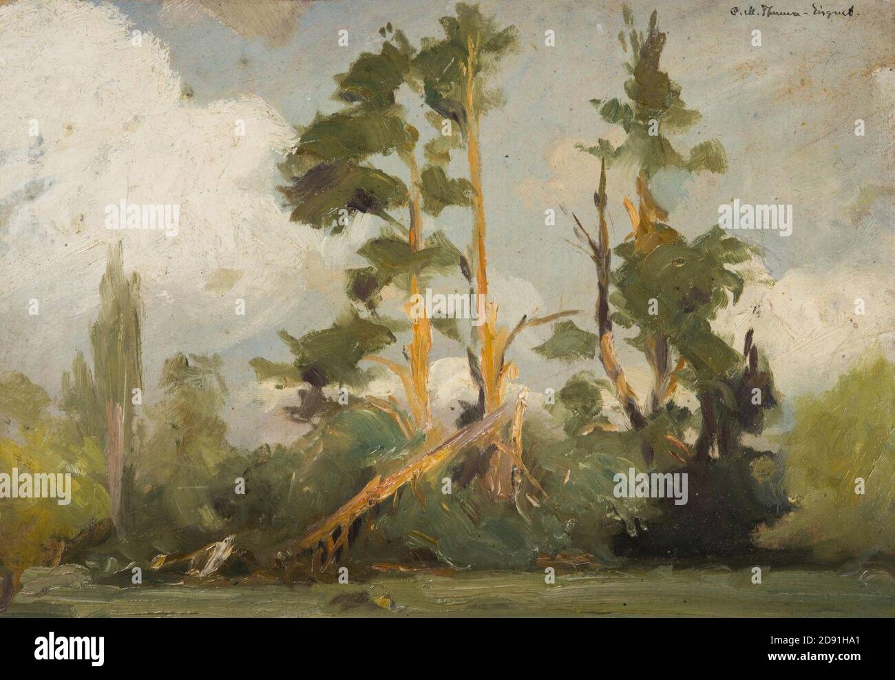 Karl Maria Thuma - Study of Trees Stock Photo - Alamy