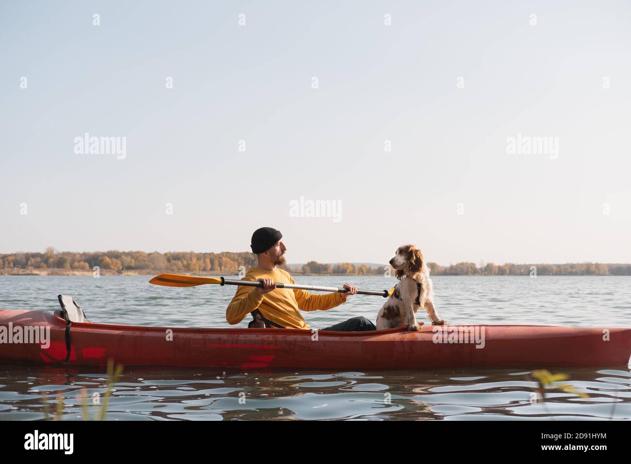 Kayaking with dogs: man rowing a boat on the lake with his spaniel ...