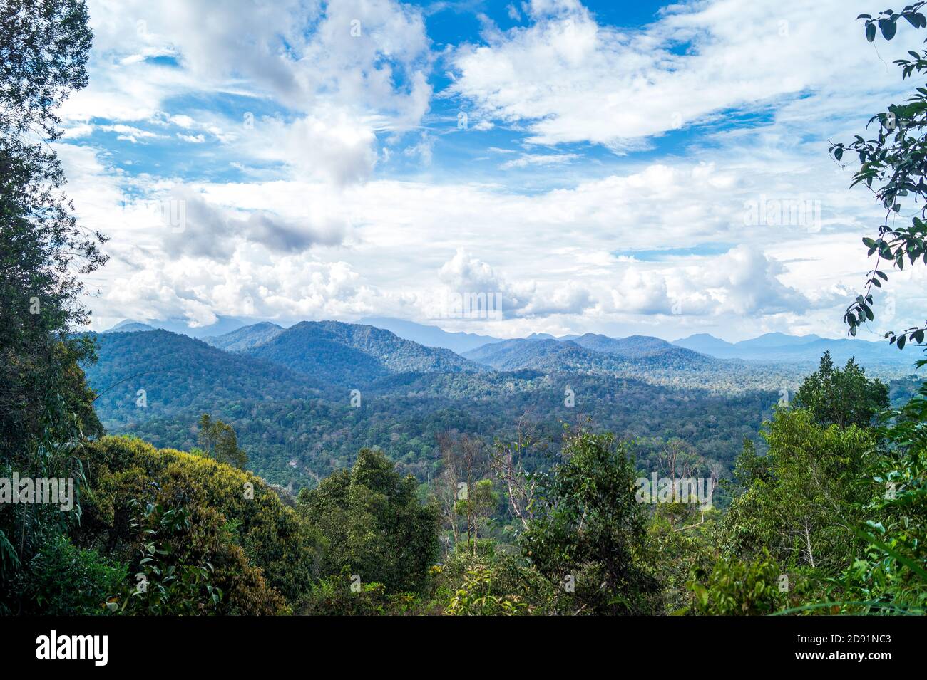 mountain and jungle landscape with clouds Stock Photo - Alamy