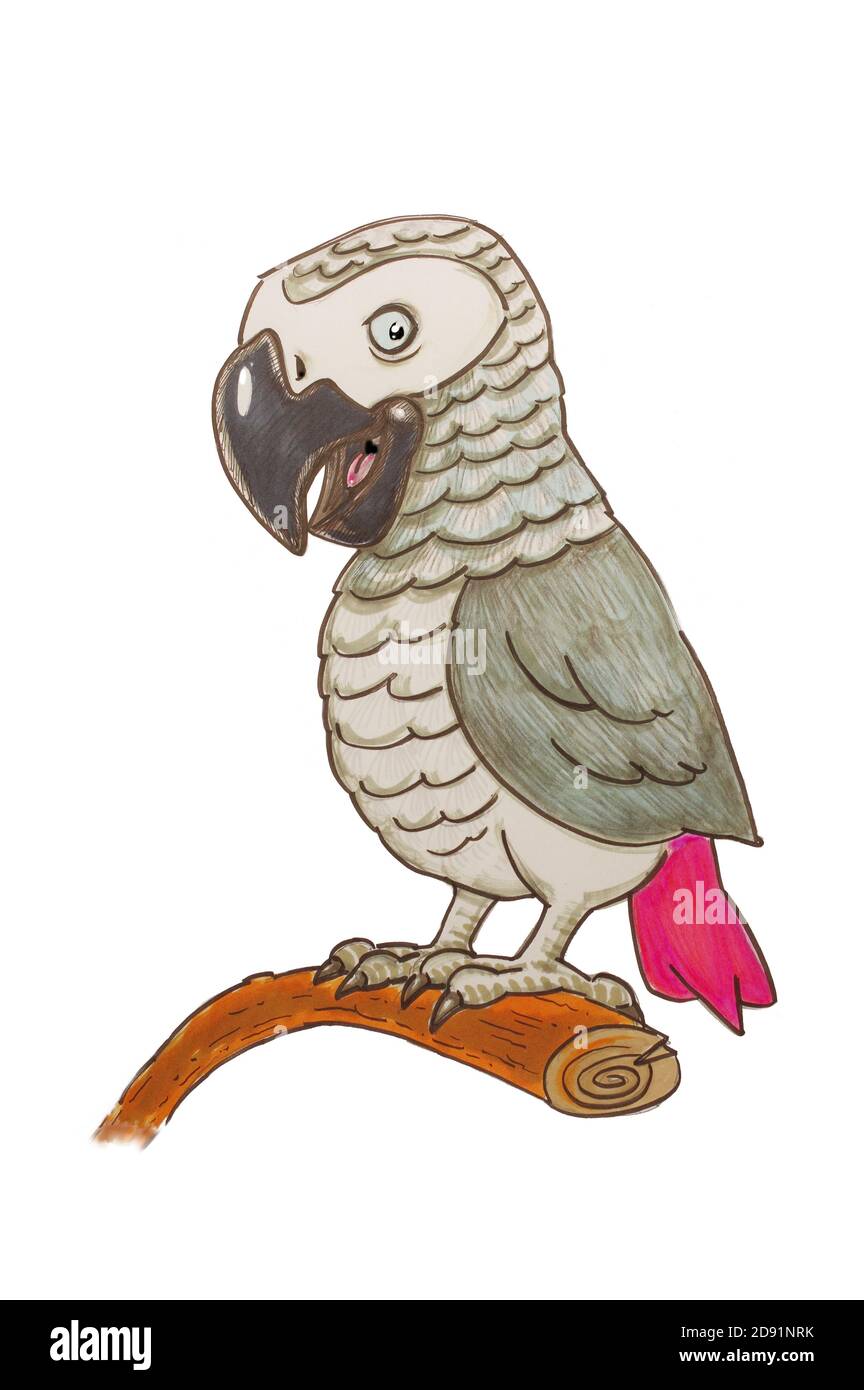 An african grey parrot Cut Out Stock Images & Pictures - Alamy