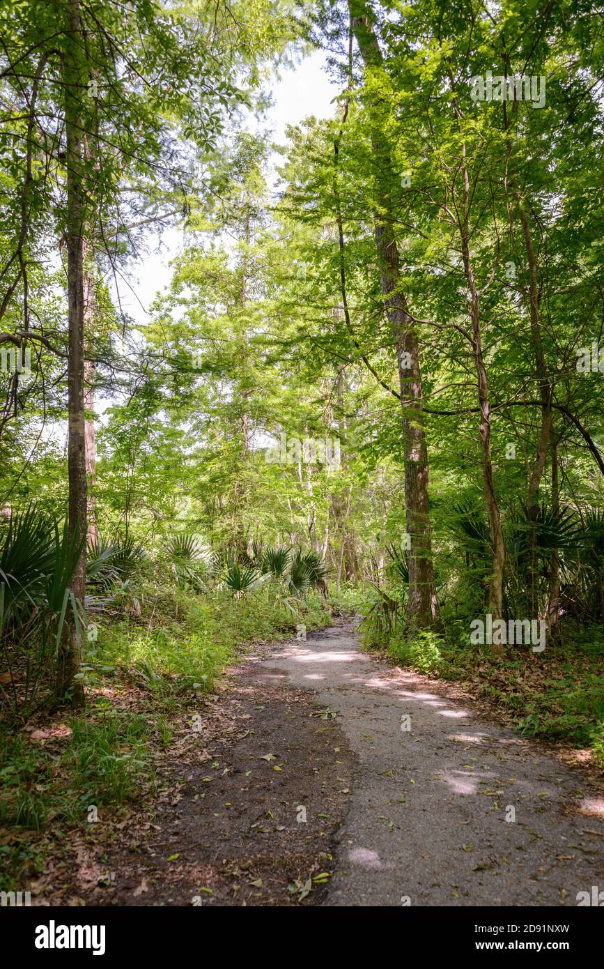 Lake Fausse Pointe State Park Stock Photo - Alamy