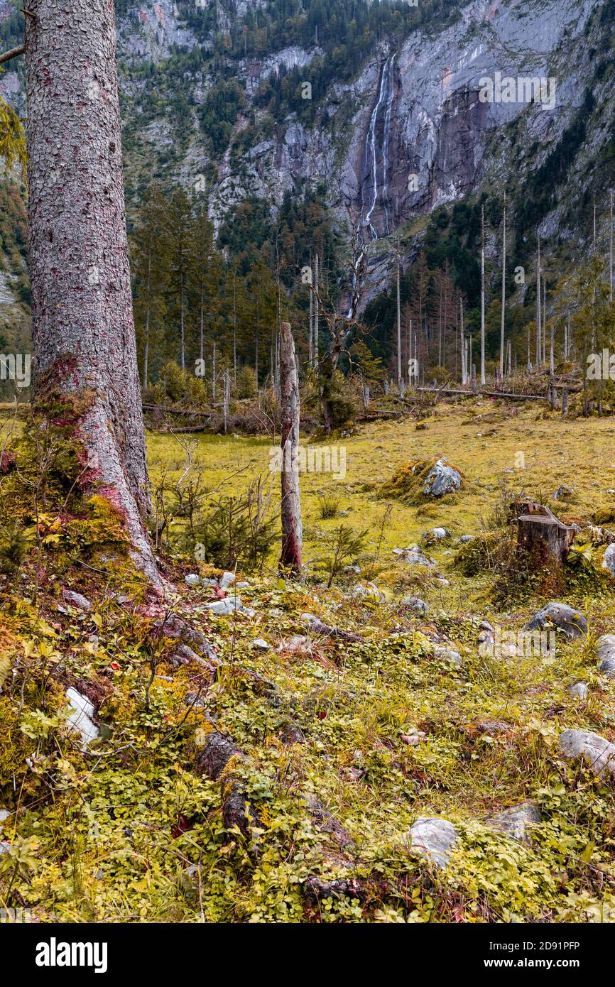The Roethbachfall, the highest waterfall of Germany near the Obersee in ...