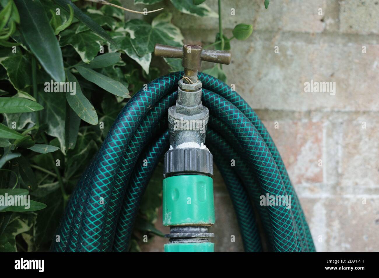 Garden Hose wrapped around tap Stock Photo - Alamy