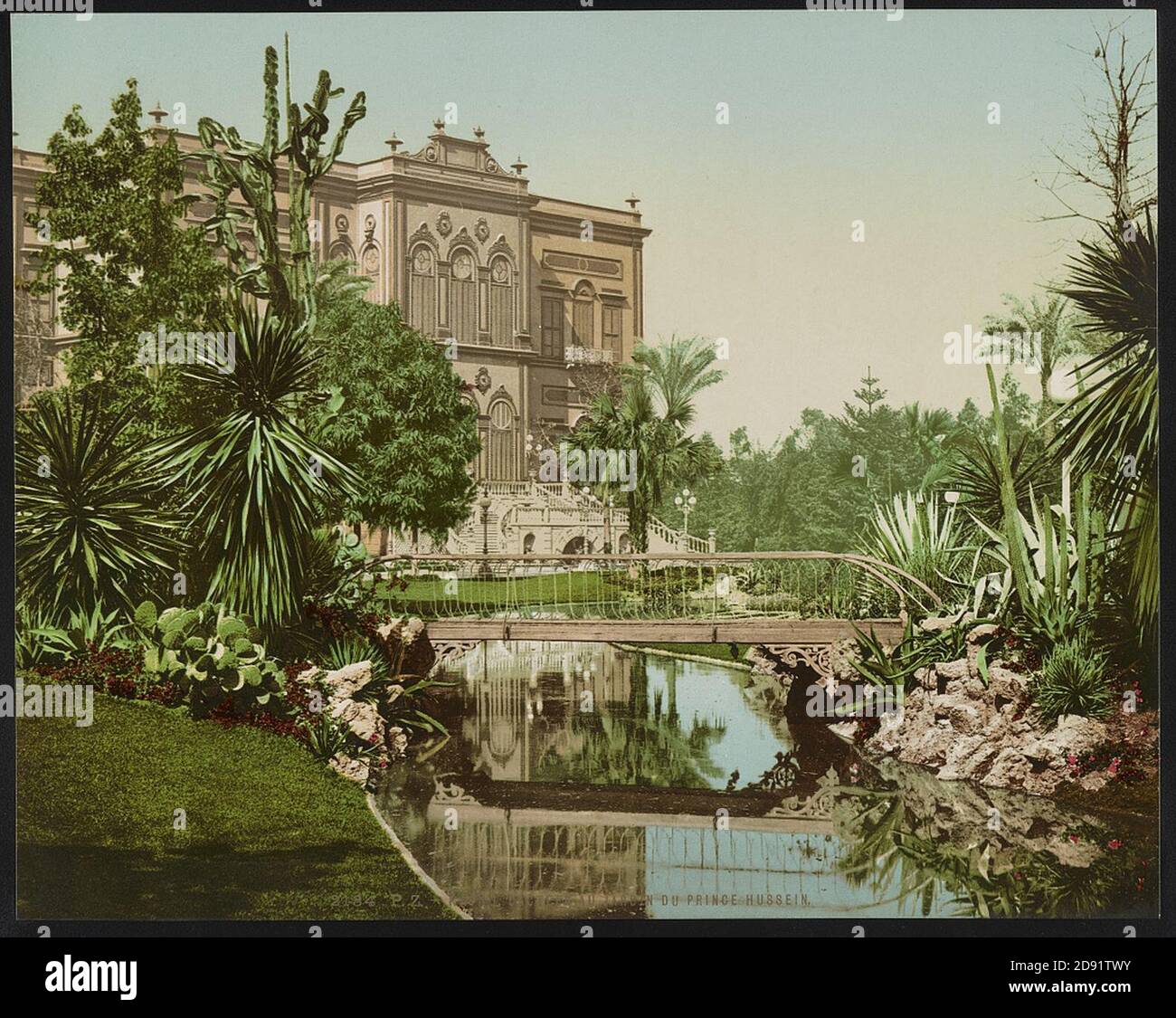 Kairo, Cactées au Jardin du Prince Hussein Stock Photo - Alamy