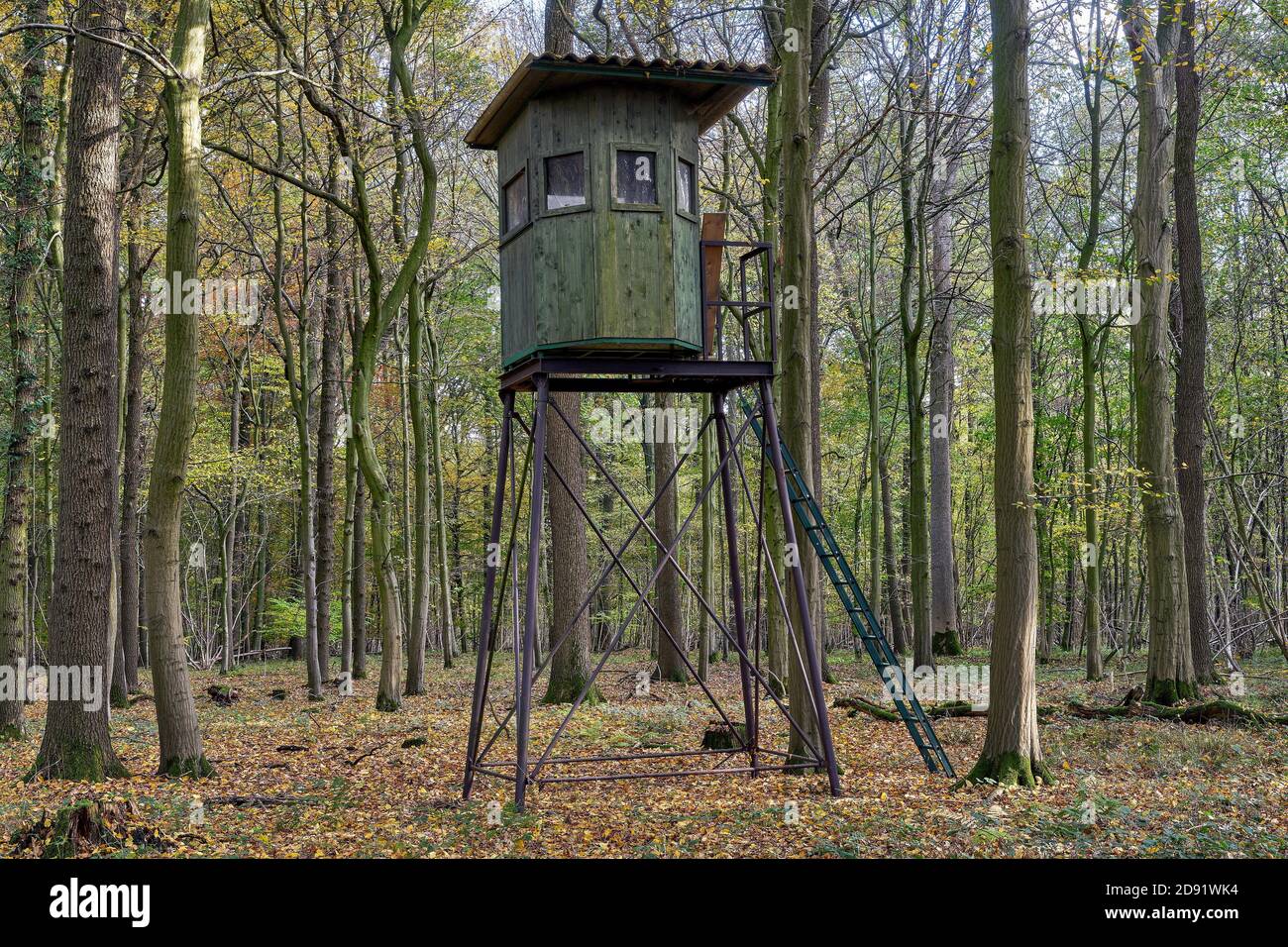 High seat deer hunting hunting hi-res stock photography and images - Alamy