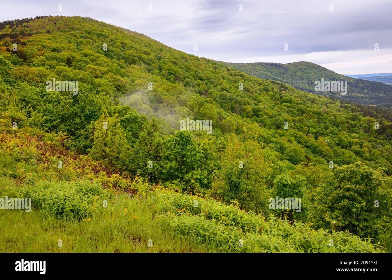 Talimena Scenic Drive Stock Photo - Alamy