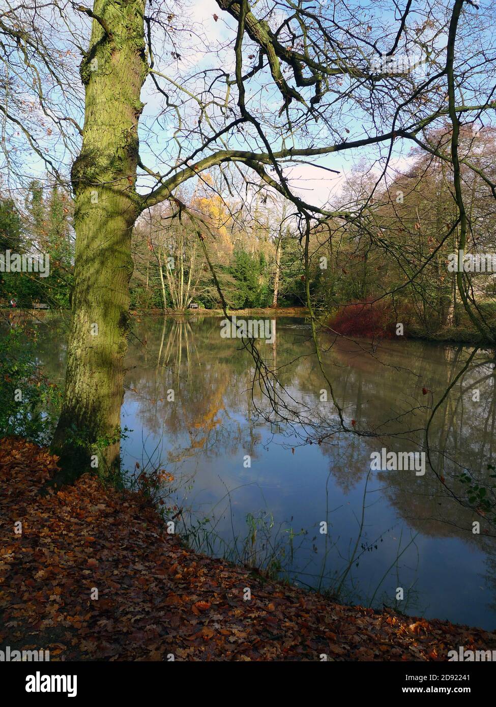 Autumn Colours by the Pool Stock Photo - Alamy