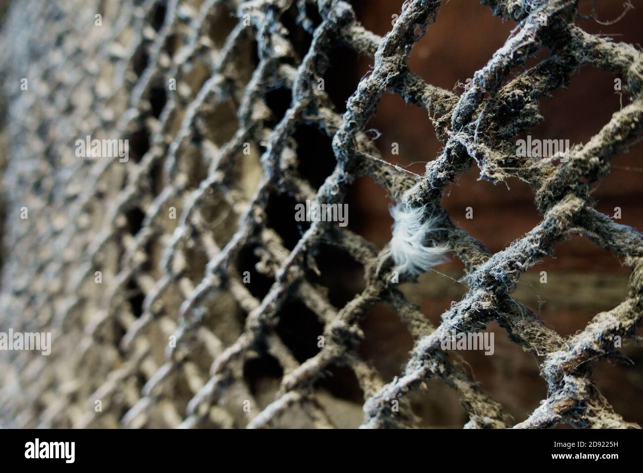 Rusted metal grid window protection of an ancient abandoned house Stock ...