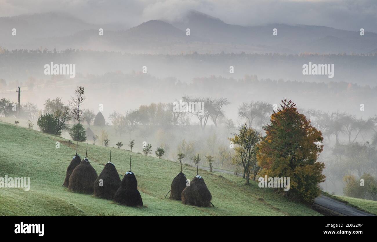rural autumn landscape with fog and hay stacks Stock Photo - Alamy