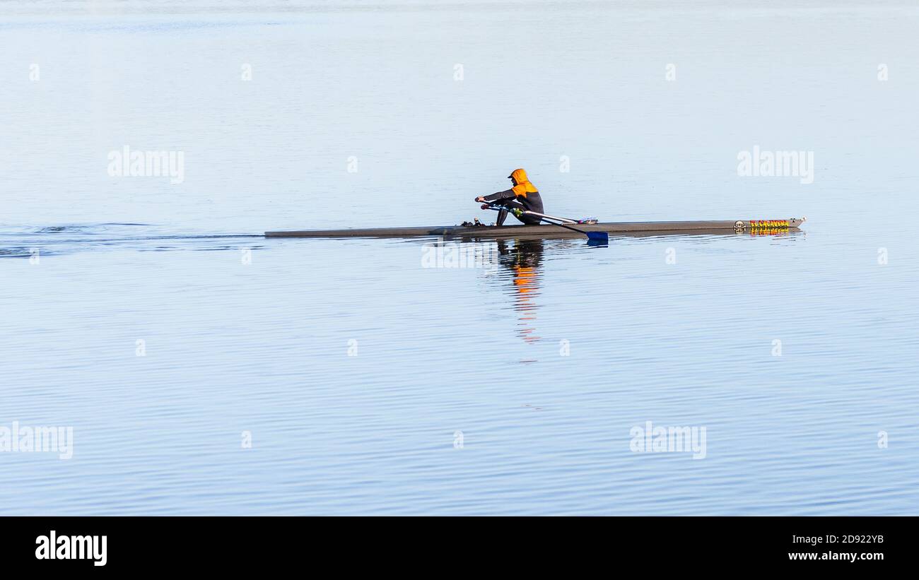Water sports rowing sculling hi-res stock photography and images - Alamy