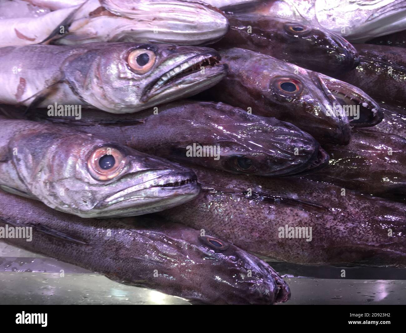 Pesca saludable hi-res stock photography and images - Alamy