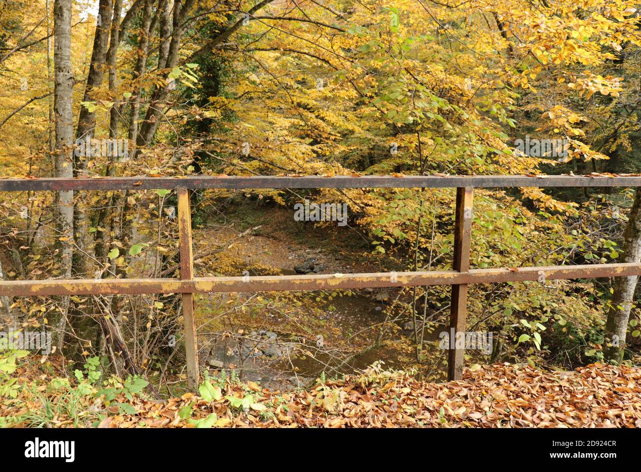Forest hiking trail in the autumn over a small rustic bridge Stock ...