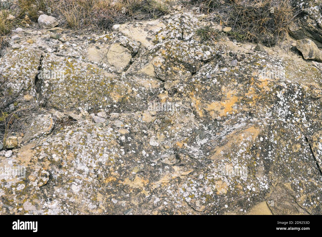 White spots on rock hi-res stock photography and images - Alamy