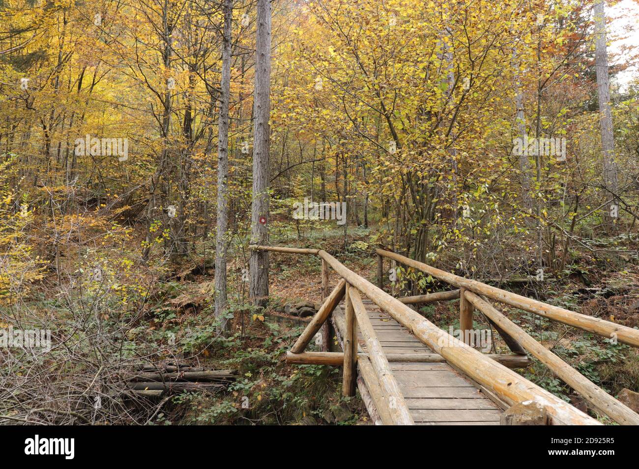 Small bridge over stream hi-res stock photography and images - Alamy