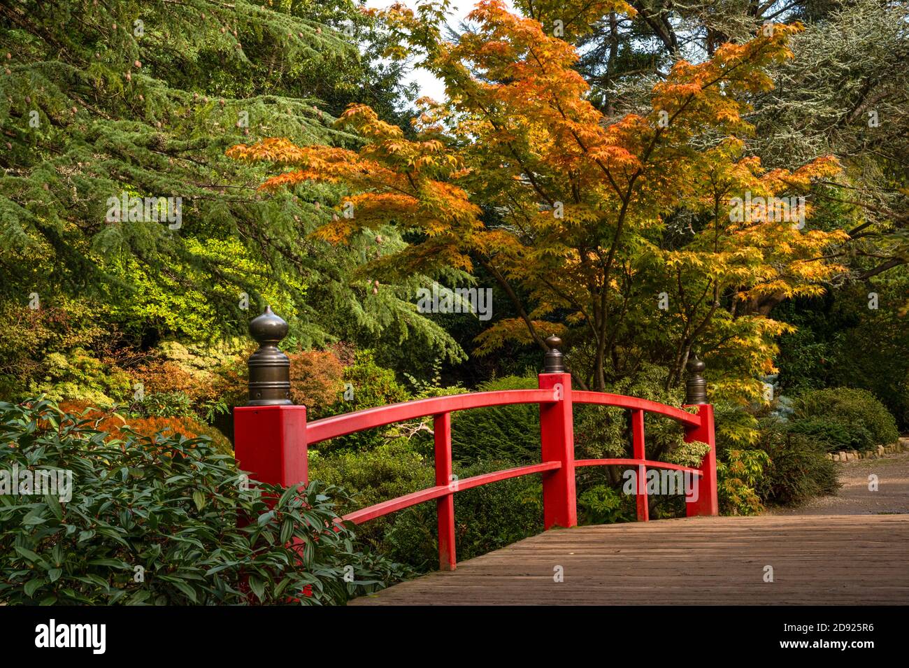 Japanese style foot bridge hi-res stock photography and images - Alamy