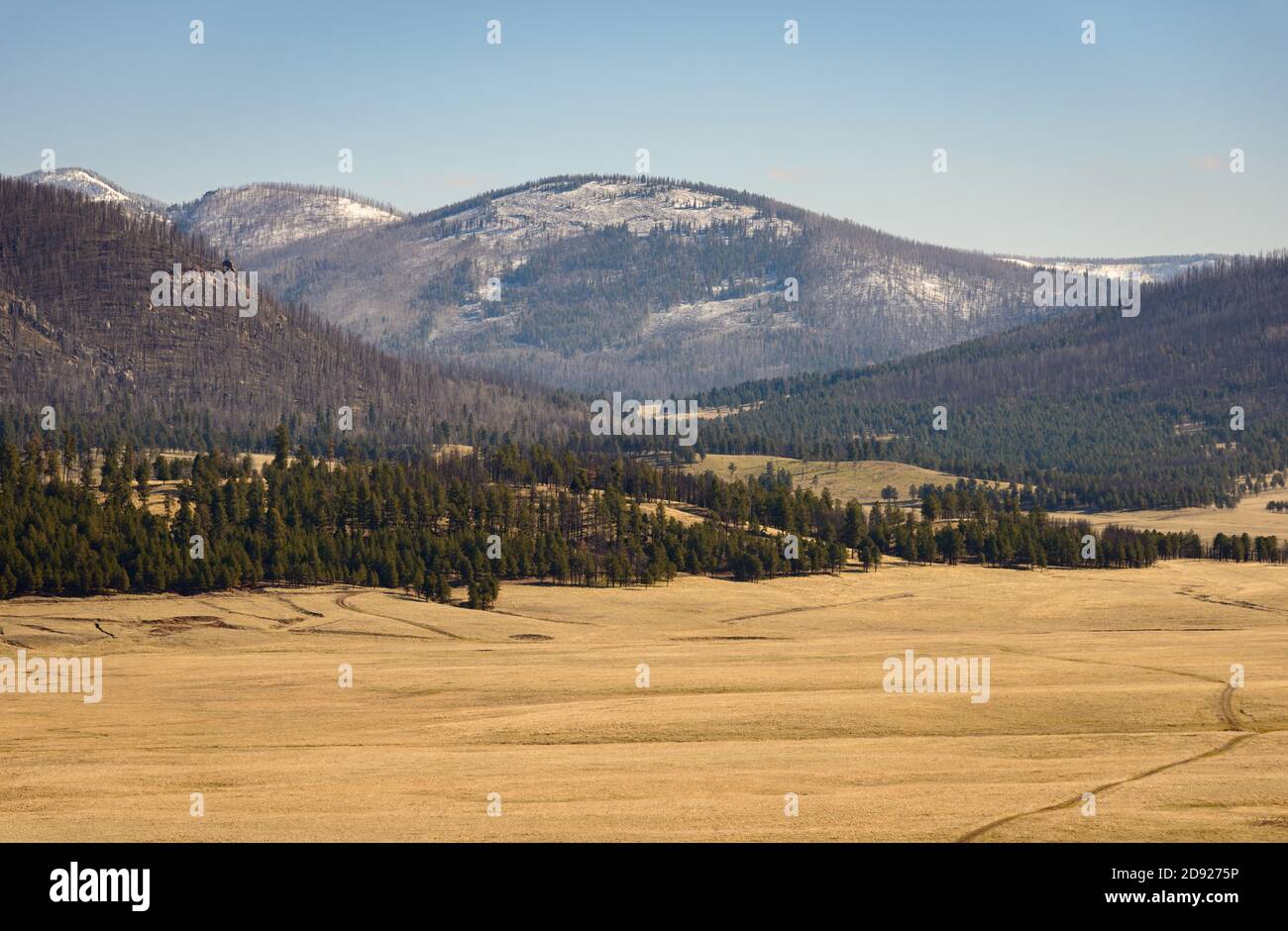 Valles Caldera National Preserve Stock Photo - Alamy