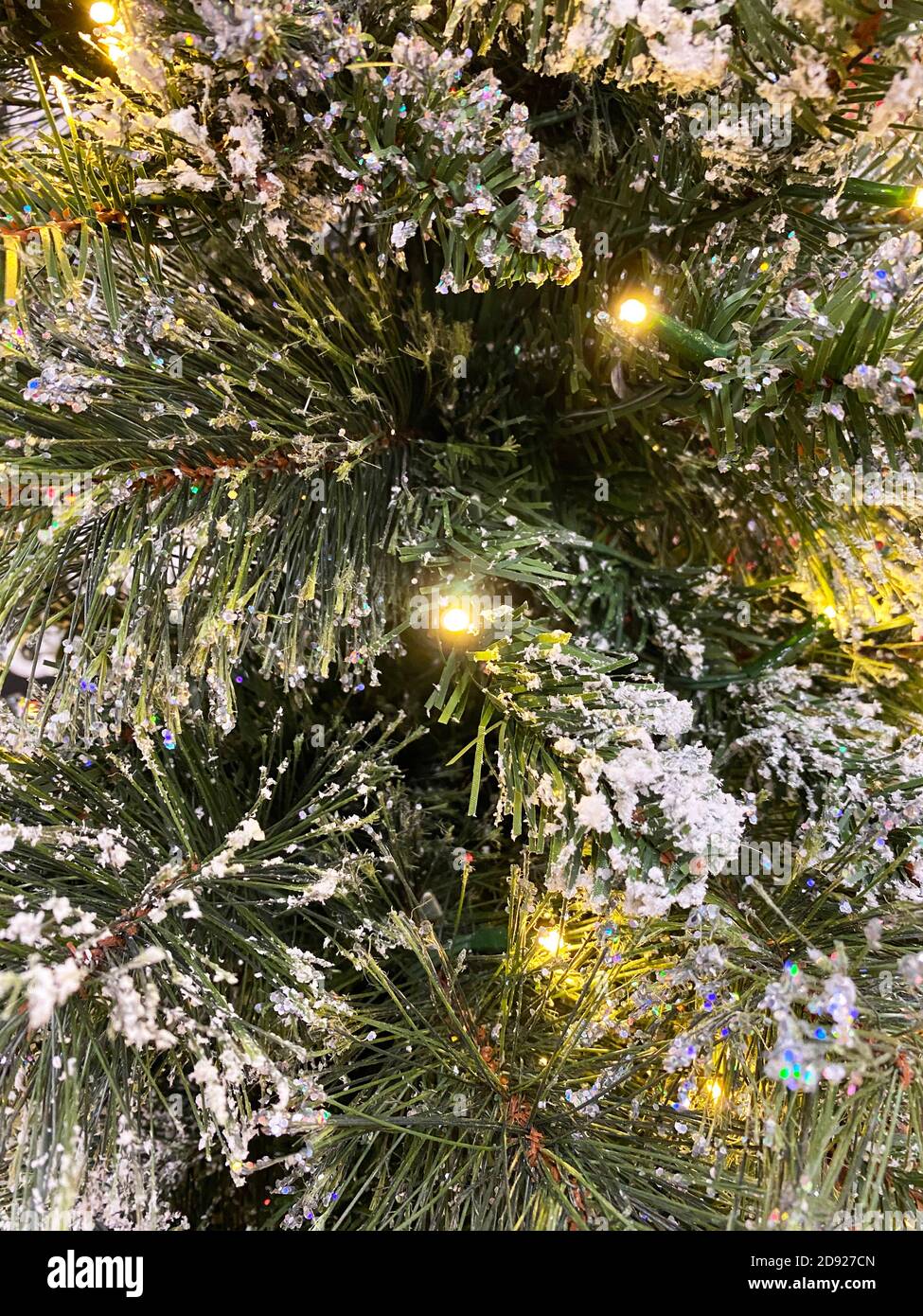 Tree holiday hi-res stock photography and images - Alamy