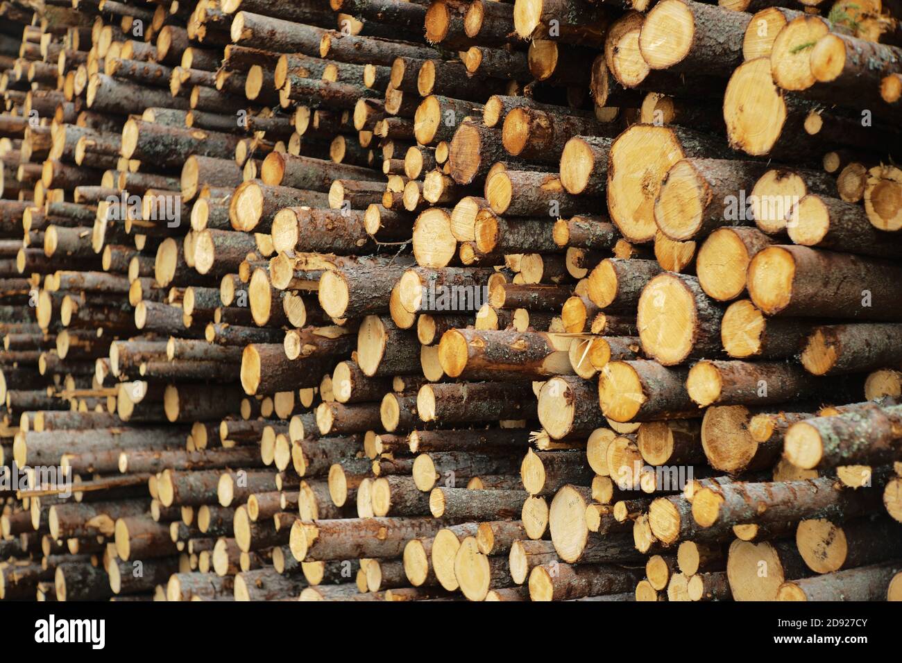 Timber in Norway 02 Stock Photo - Alamy