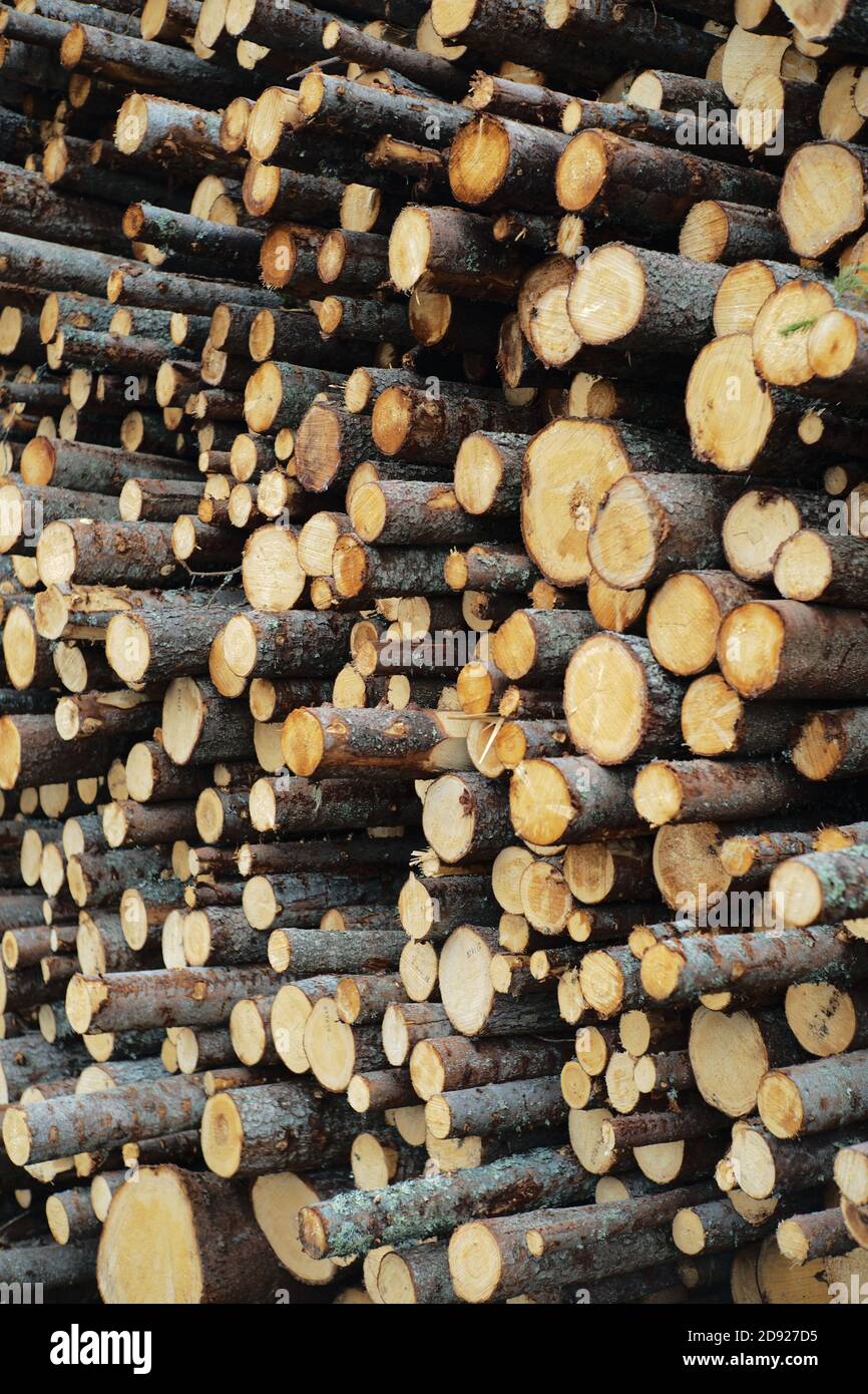 Timber in Norway 01 Stock Photo - Alamy