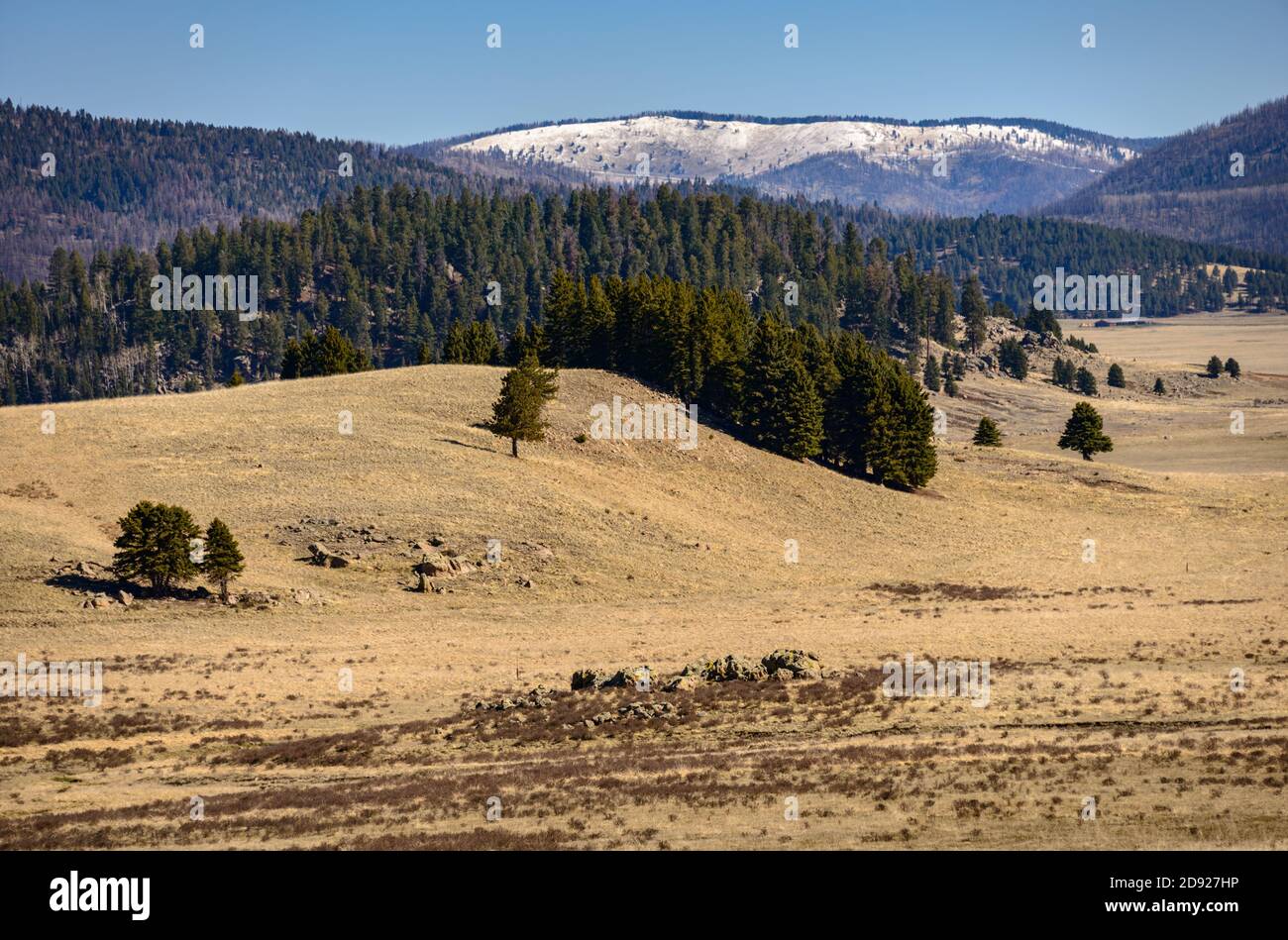 Valles Caldera National Preserve Stock Photo - Alamy