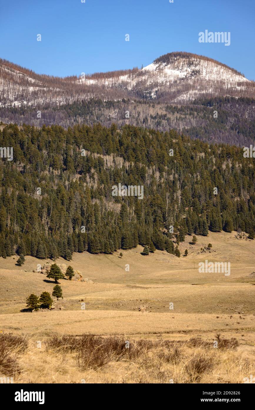 Valles Caldera National Preserve Stock Photo - Alamy