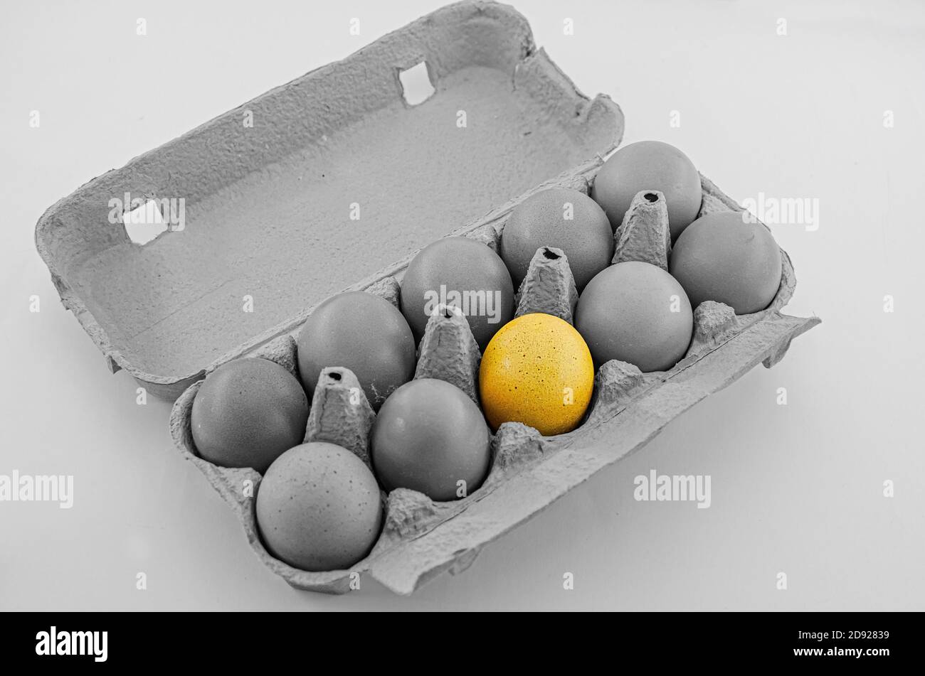 Open Egg Carton