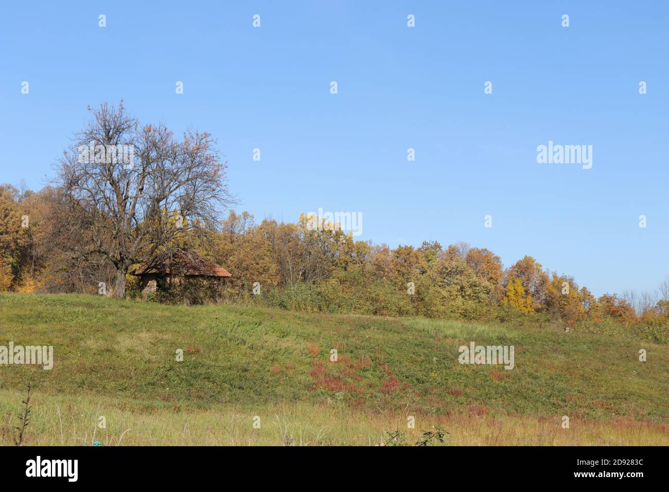 Green hilly meadows in hi-res stock photography and images - Alamy