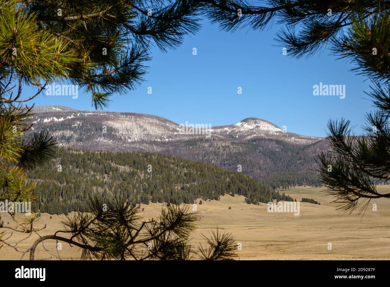 Valles Caldera National Preserve Stock Photo - Alamy