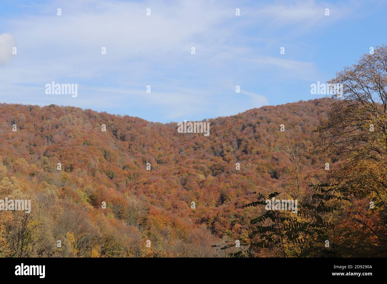 Mountain autumn landscape Stock Photo - Alamy