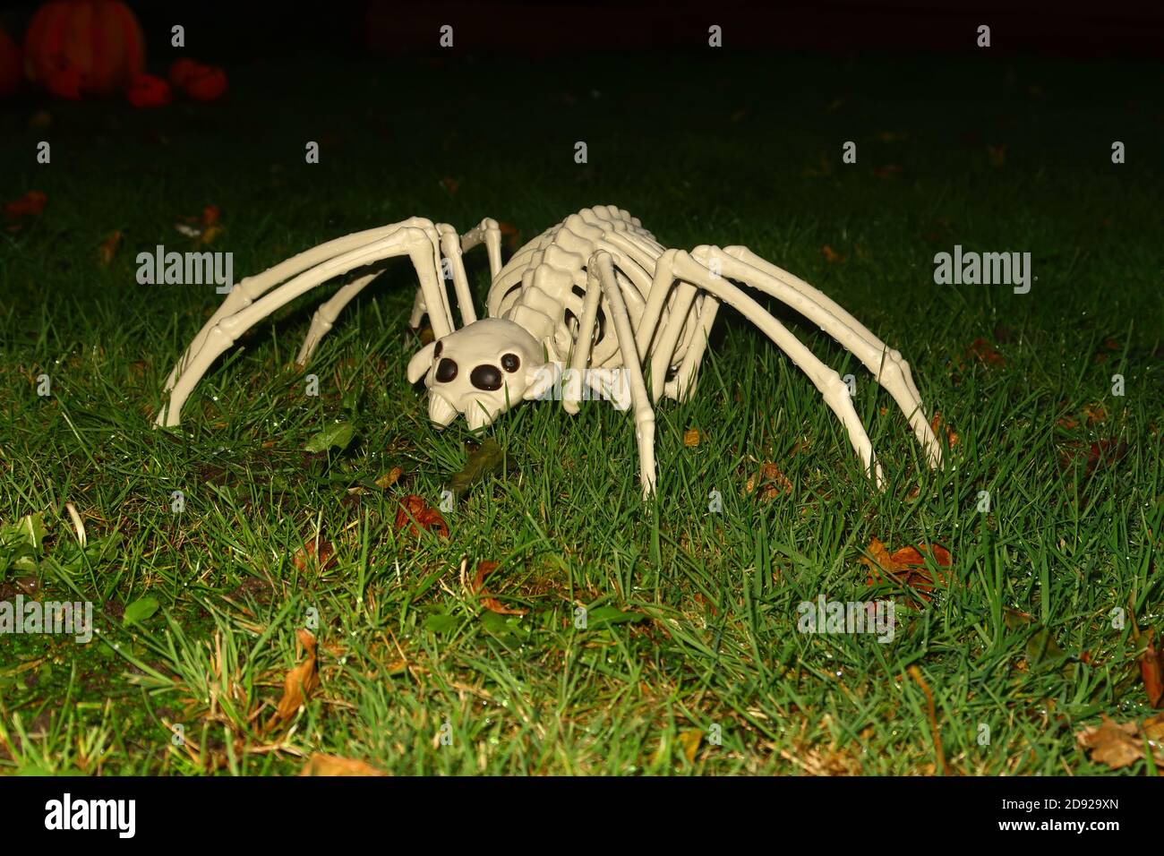 Fright night hi-res stock photography and images - Alamy