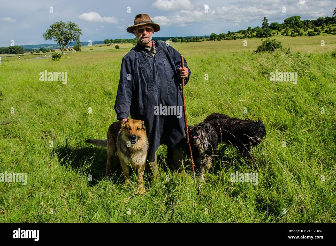 Shepherding hi-res stock photography and images - Alamy