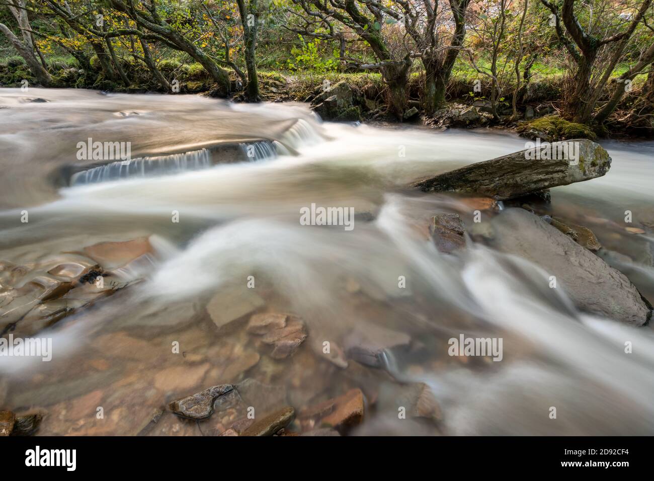 Long exposure of the river Heddon flowing through the woods at Heddons ...