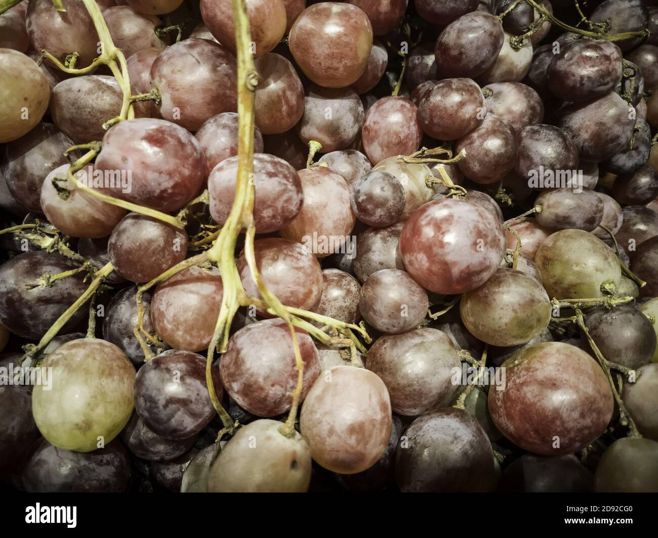 Grapes in market, organic food and agriculture, wine and fruit Stock ...