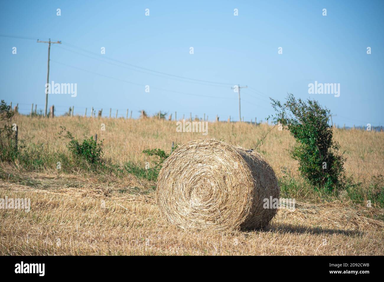 Hay rolls. Agriculture. Field after harvest. Rural landscape ...