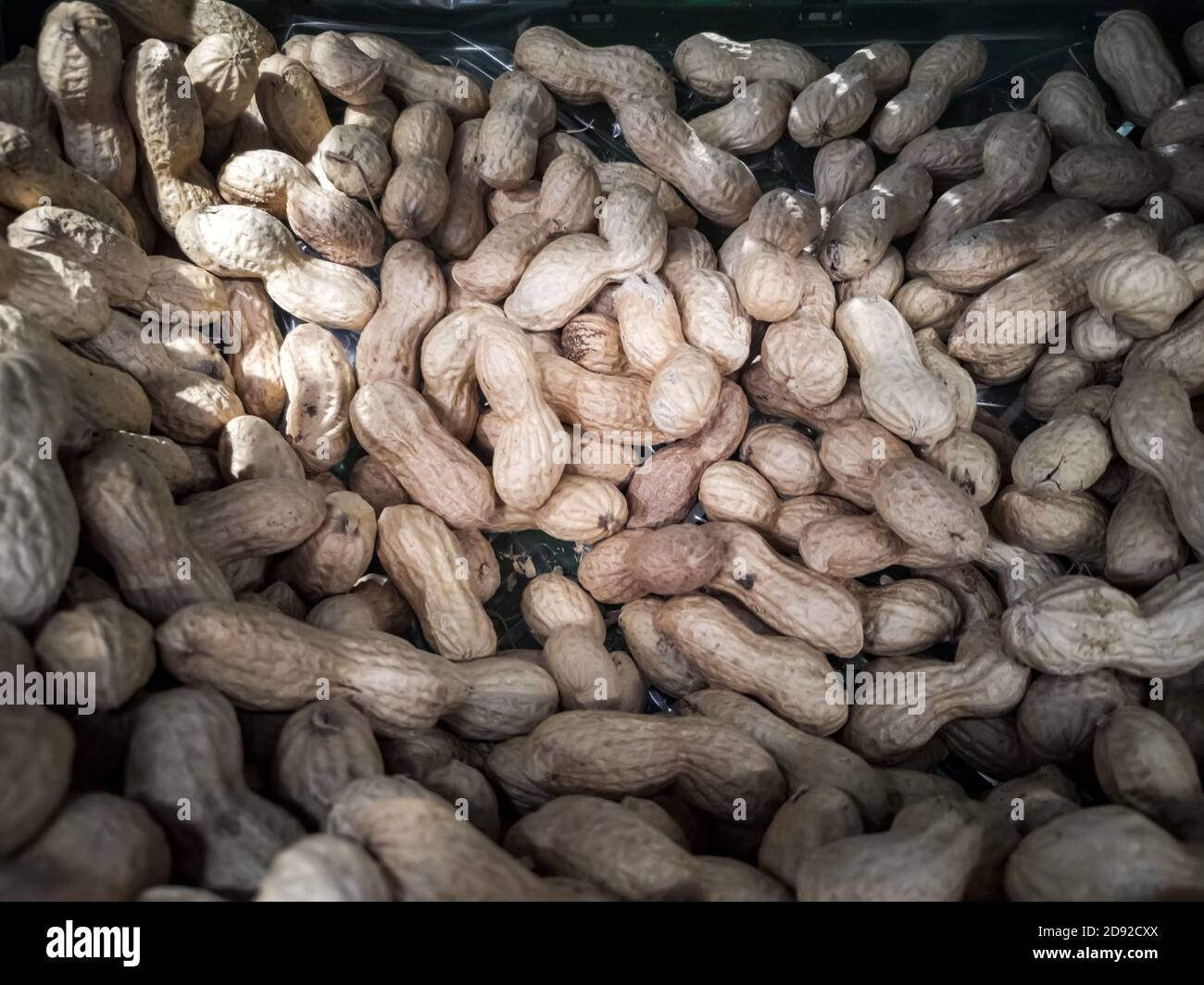 Peanuts in store, nuts, vitamins and proteins Stock Photo - Alamy