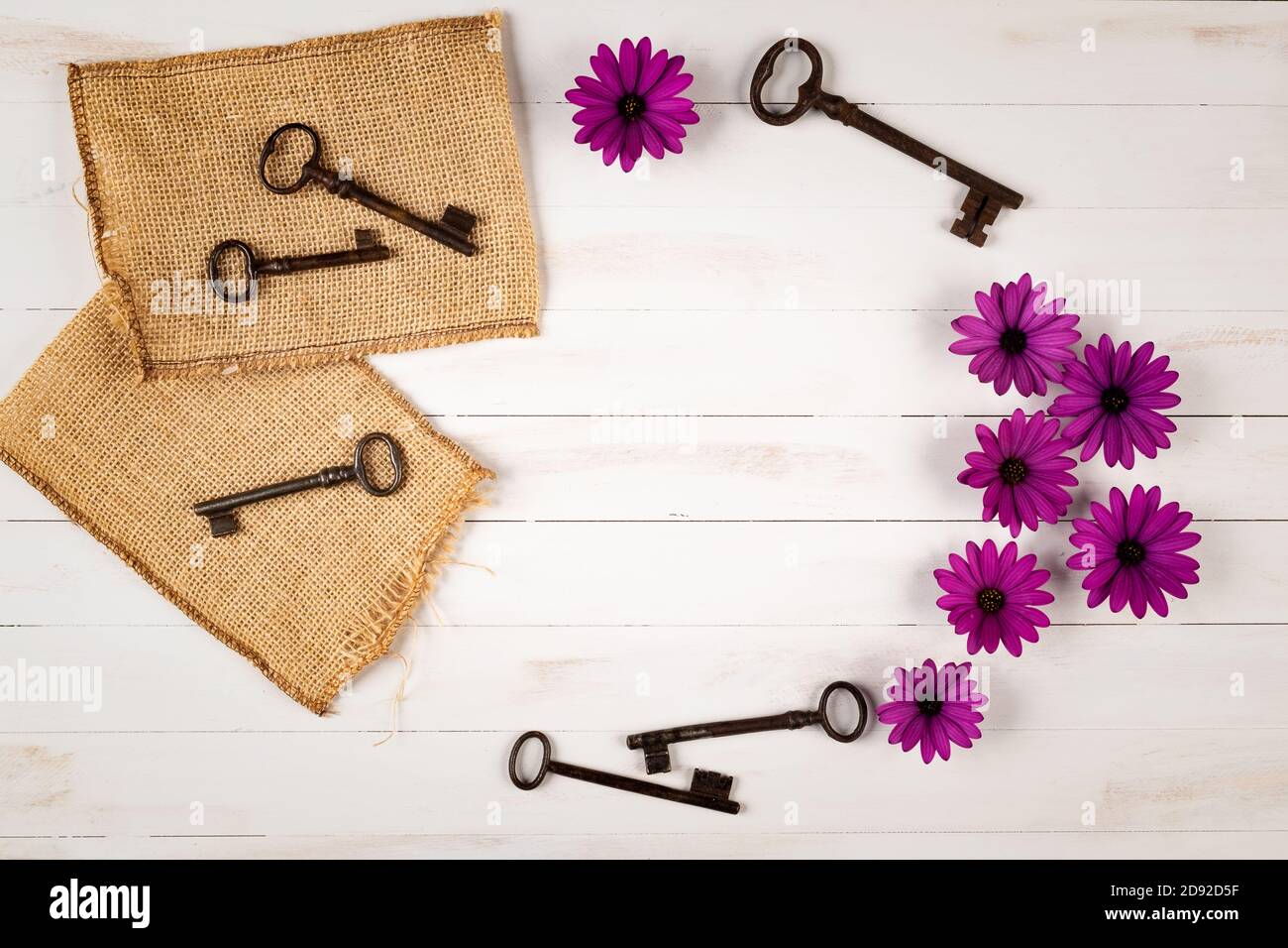 Dirty daisy flower petal hi-res stock photography and images - Alamy